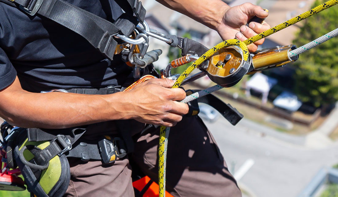 Specialist Access Technicians - Building and Inspection Specialists