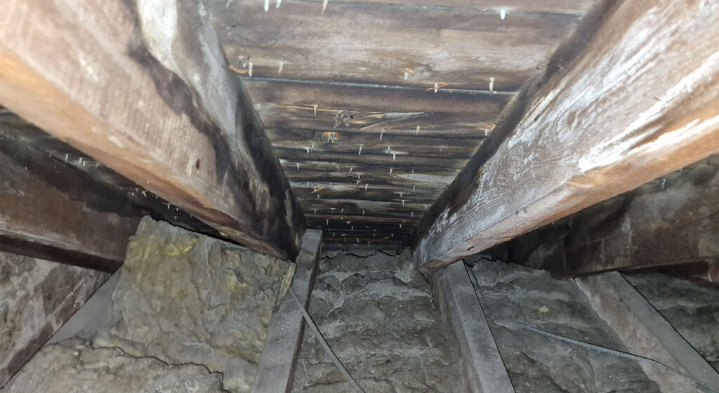 Roof Survey Edinburgh - Physical Roof Inspections