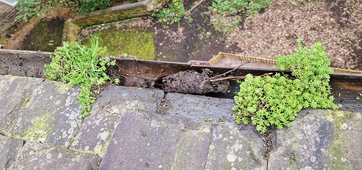 Gutter Clean Brunswick Street - Affordable and Reliable Services
